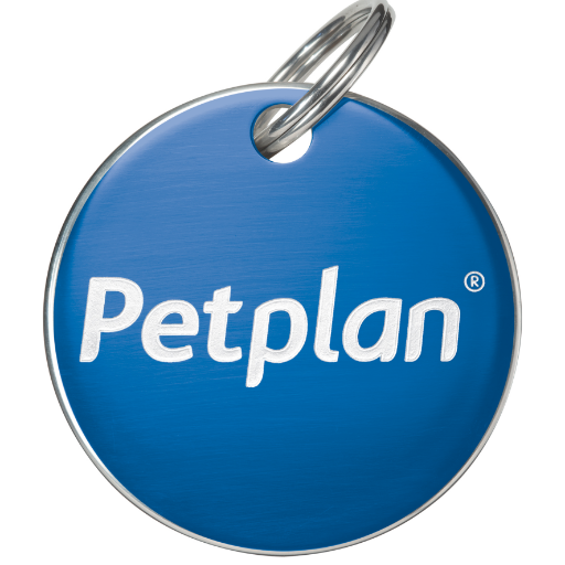 Pet insurance petplan store