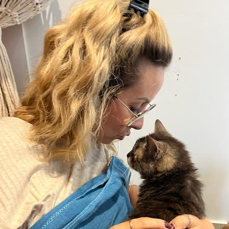Fostering a cat - RSPCA Solent Branch CIO - The Stubbington Ark