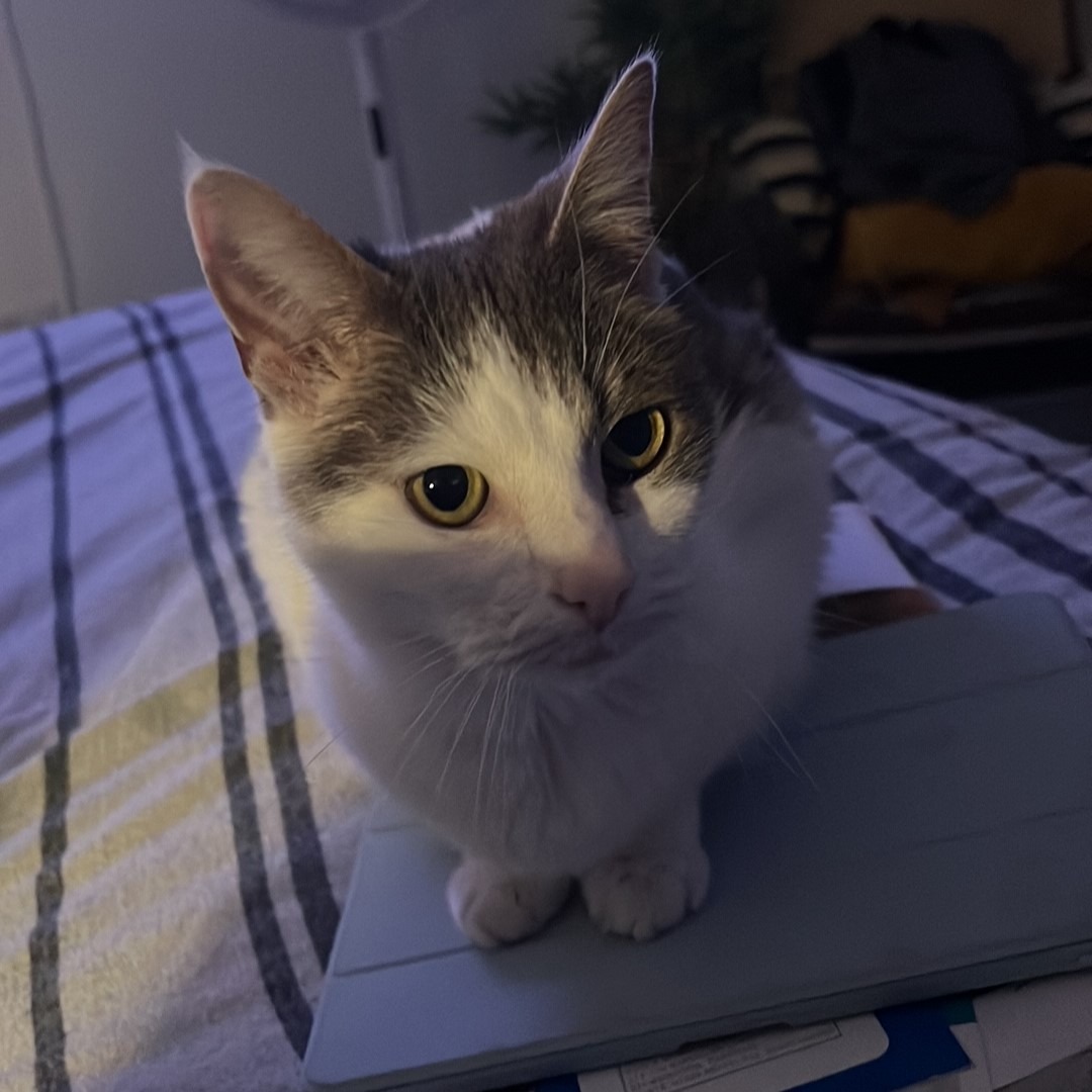 Legacies - RSPCA Solent Branch CIO - The Stubbington Ark