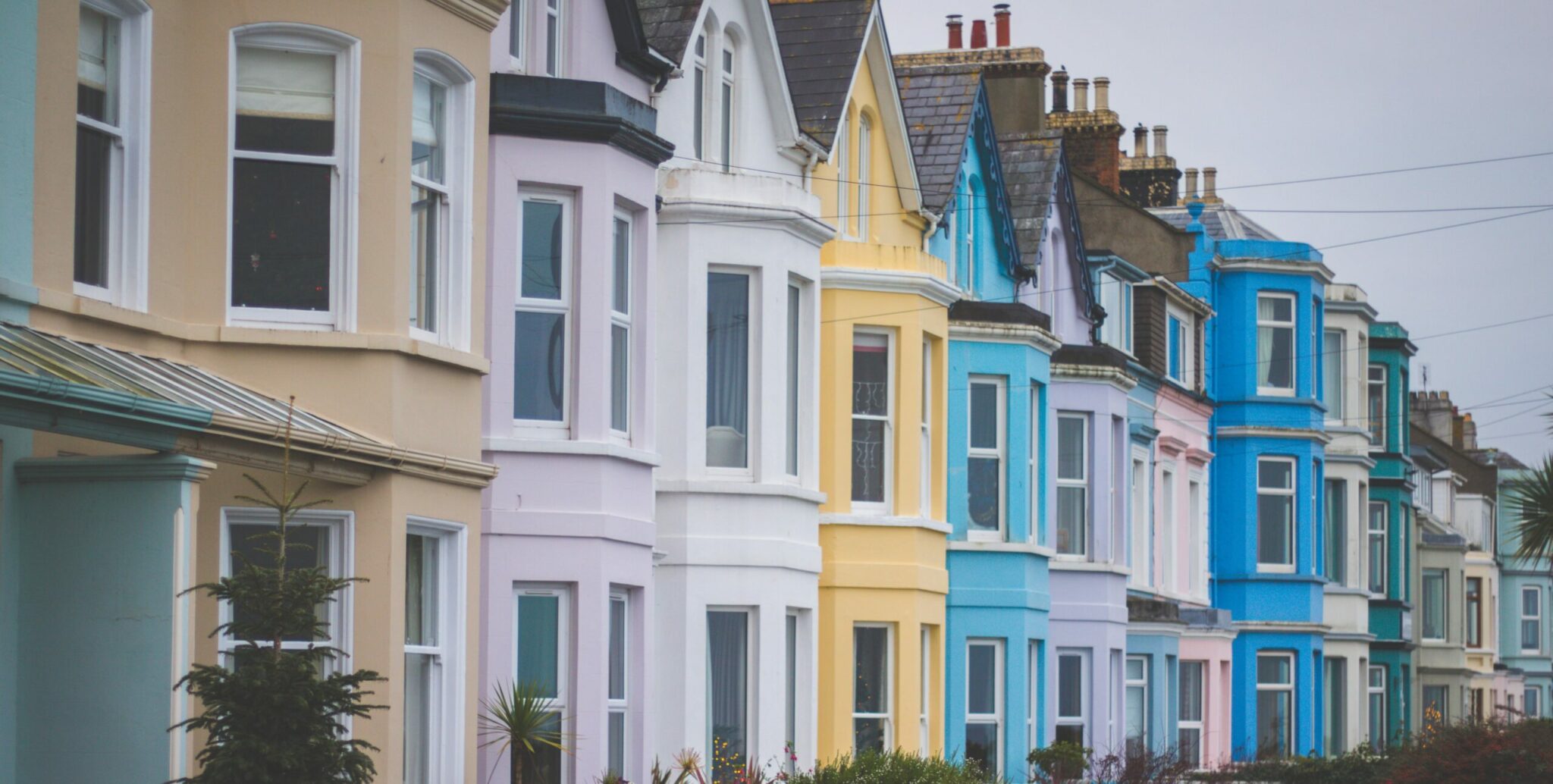 Adopting from The Ark - RSPCA Solent Branch CIO - The Stubbington Ark