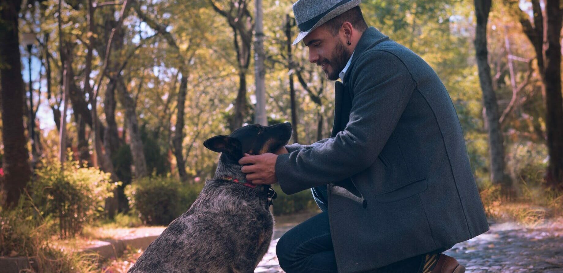 Adopting from The Ark - RSPCA Solent Branch CIO - The Stubbington Ark