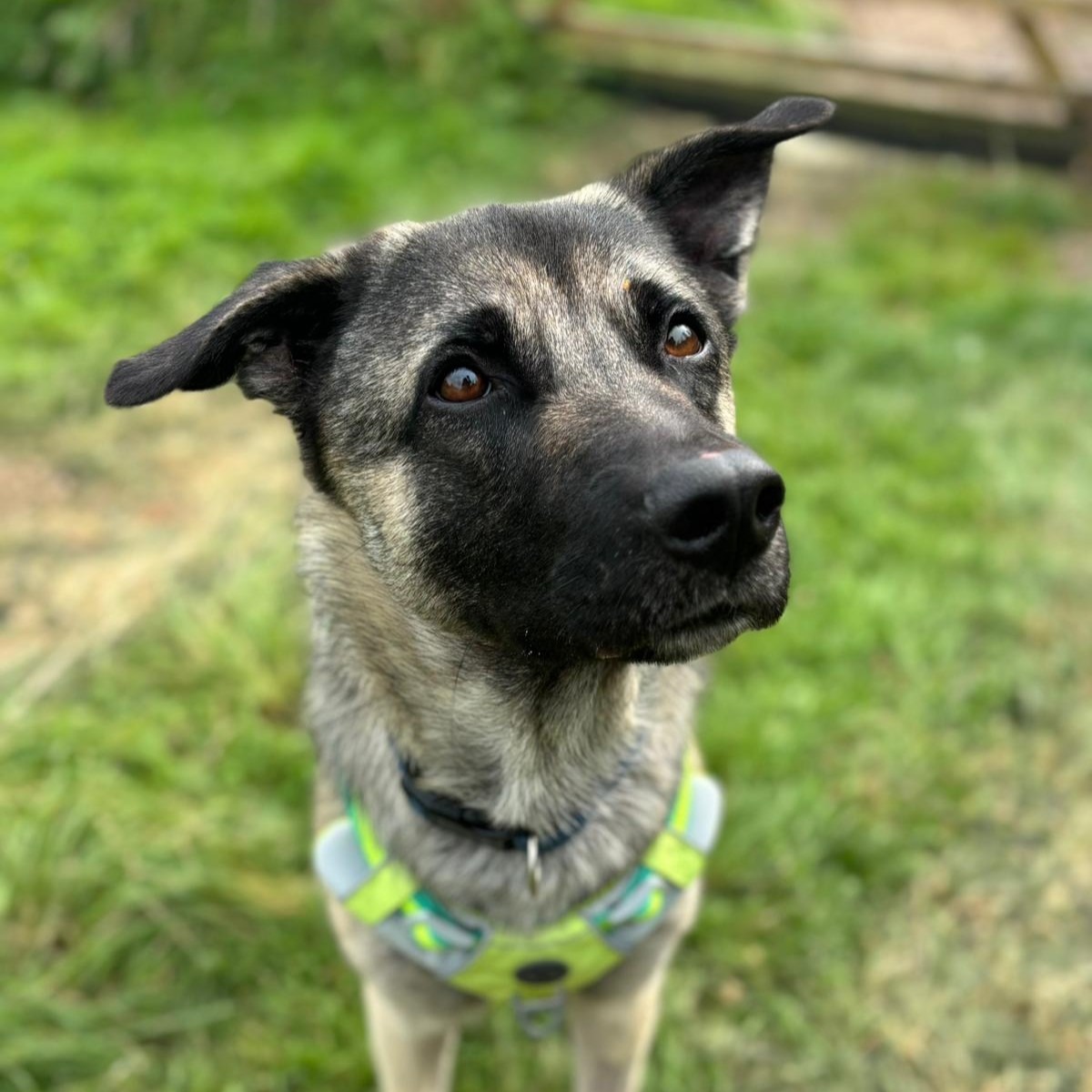 Pricing - RSPCA Solent Branch CIO - The Stubbington Ark