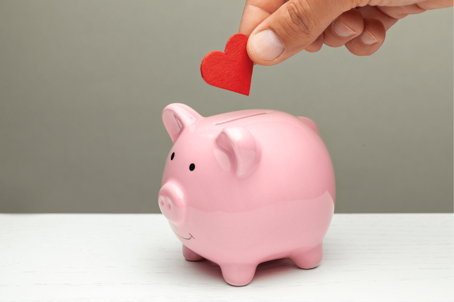 Support us - RSPCA Solent Branch CIO - The Stubbington Ark