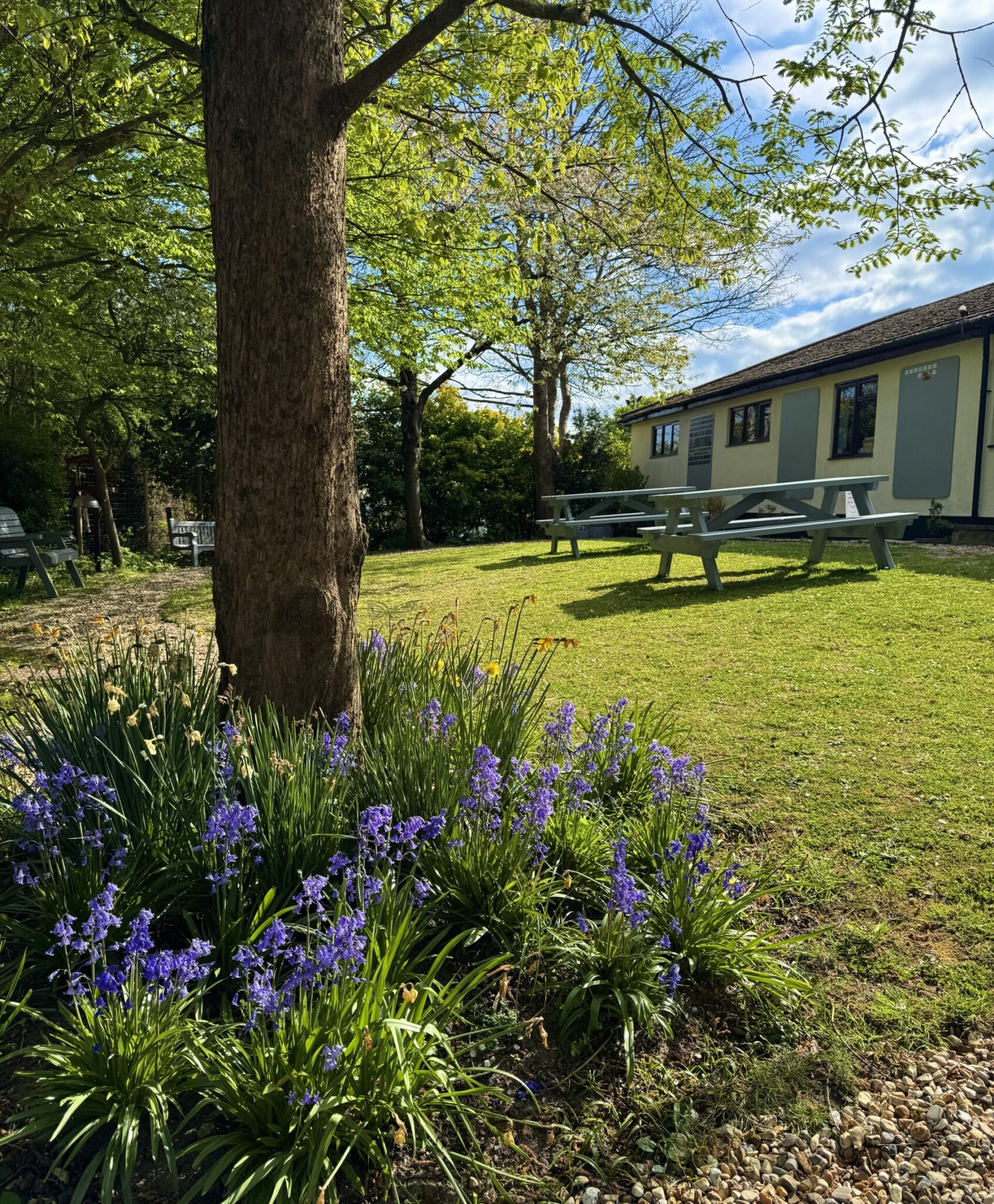 Rainbow Road Garden - RSPCA Solent Branch CIO - The Stubbington Ark